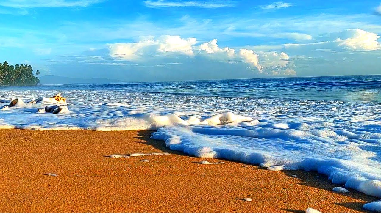 SO FUN!! WHEN AT PALAM BEACH AND ENJOYING THE SOUND OF THE WAVES - YouTube