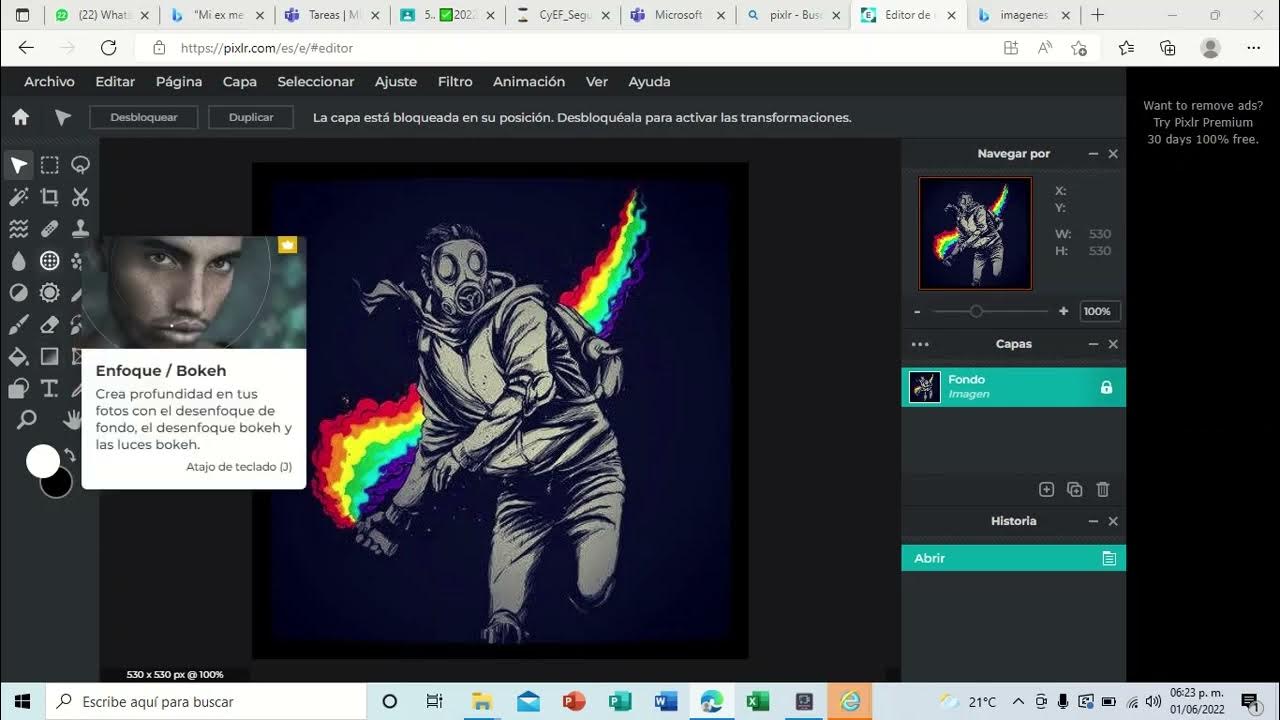 Como se utilizan las suguientes herramienta de PIXLRE dispersar ...