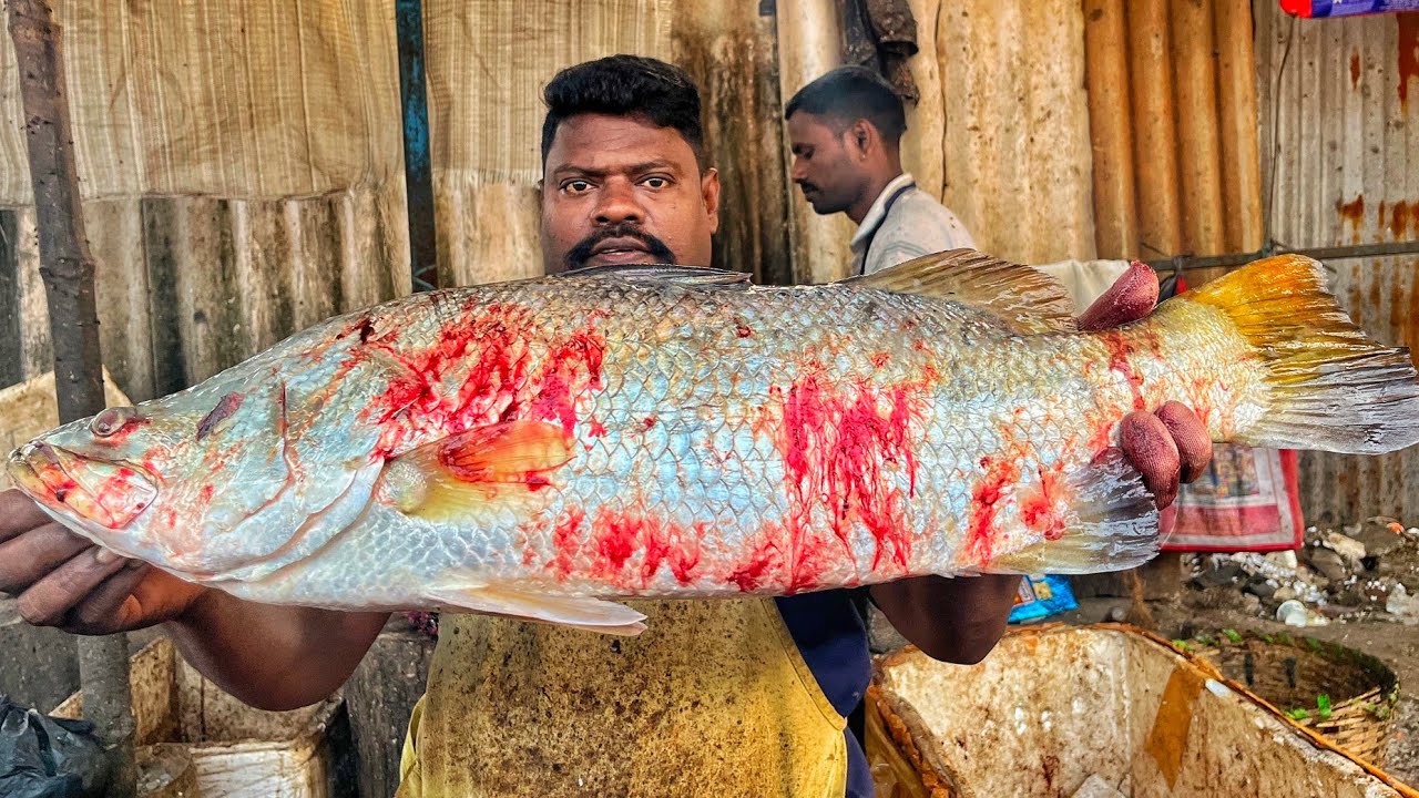 KASIMEDU 🔥 SPEED SELVAM | HUGE BARRAMUNDI FISH CUTTING VIDEO | 4K VIDEO ...