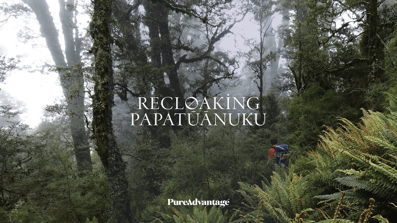 Recloaking Papatūānuku: The largest Nature-based Solution ever proposed ...