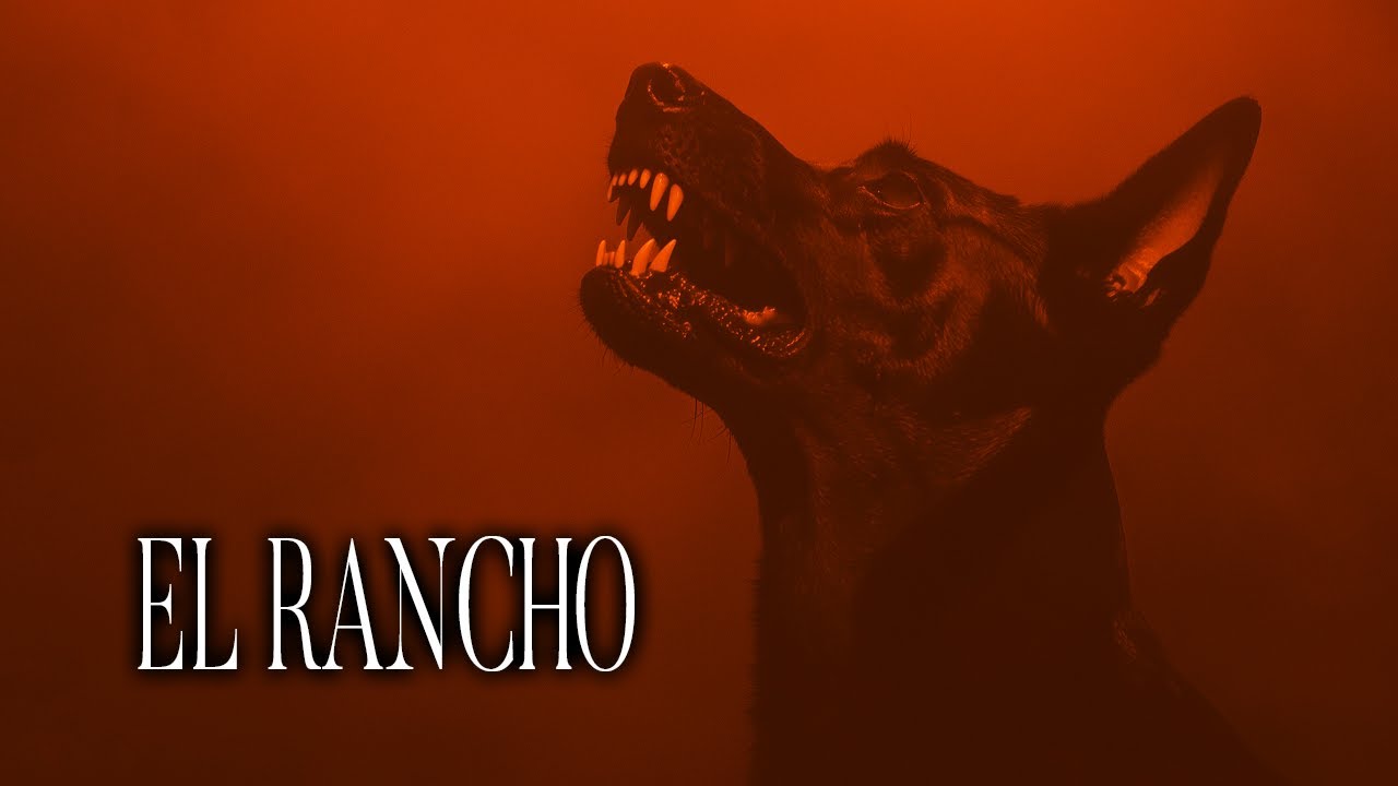 La Criatura Del Rancho Historias De Terror - REDE - YouTube