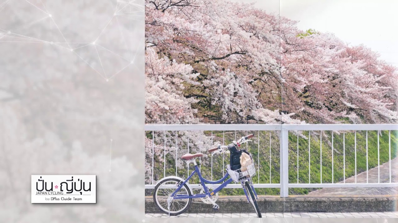 Book Guide by SE-ED : ปั่น ญี่ปุ่น : DPlus Guide Team - YouTube