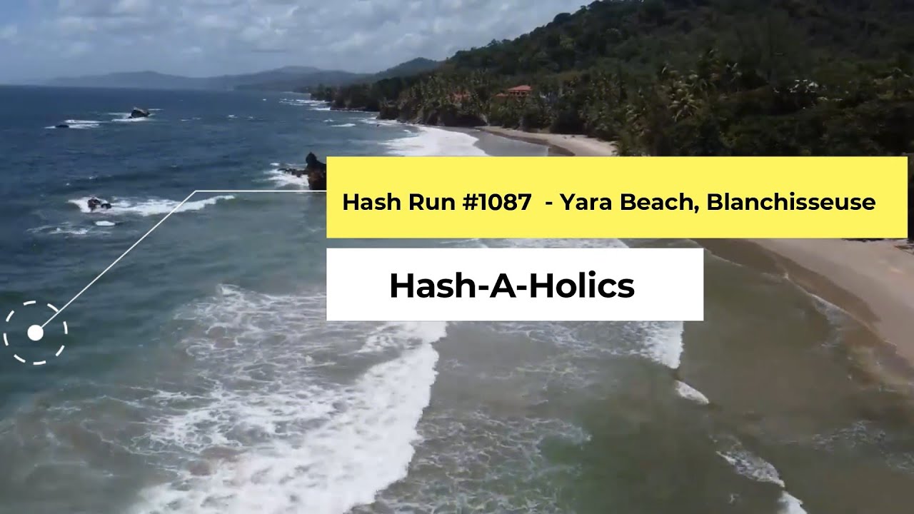 Hash #1087 - Yara Beach, Blanchisseuse - Hash-A-Holics - YouTube