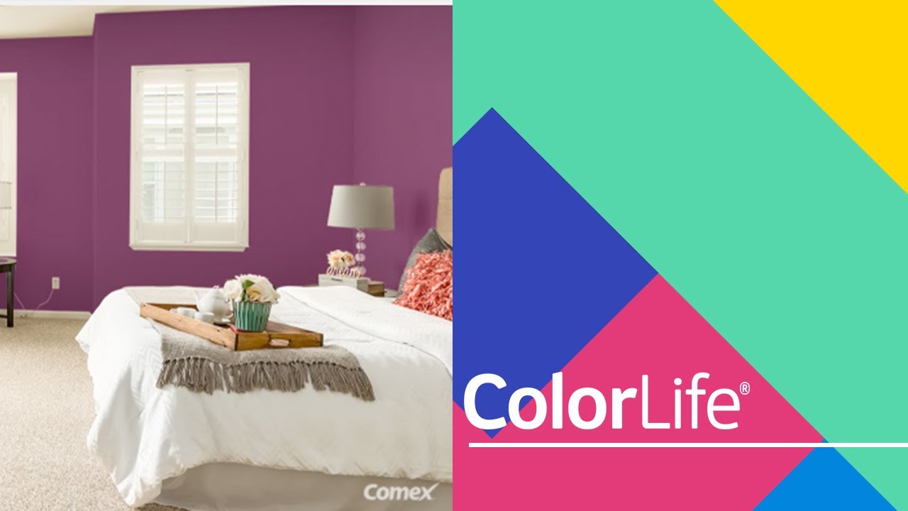 ColorLife: Color de la semana - Jamaica - YouTube