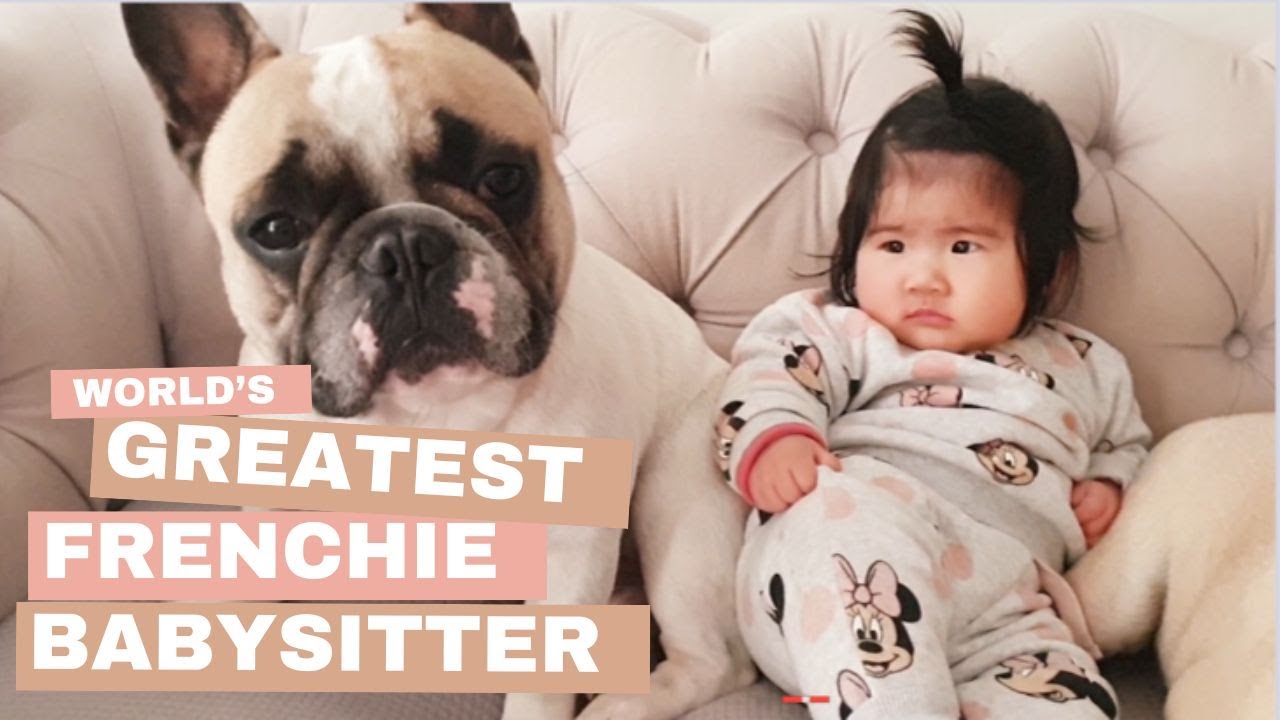 Baby bonding with french bulldog #babyanddog #frenchie #pugs #frenchies ...