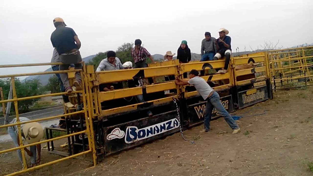 Practicando monta de toro al estilo americano con EL POLLO - YouTube