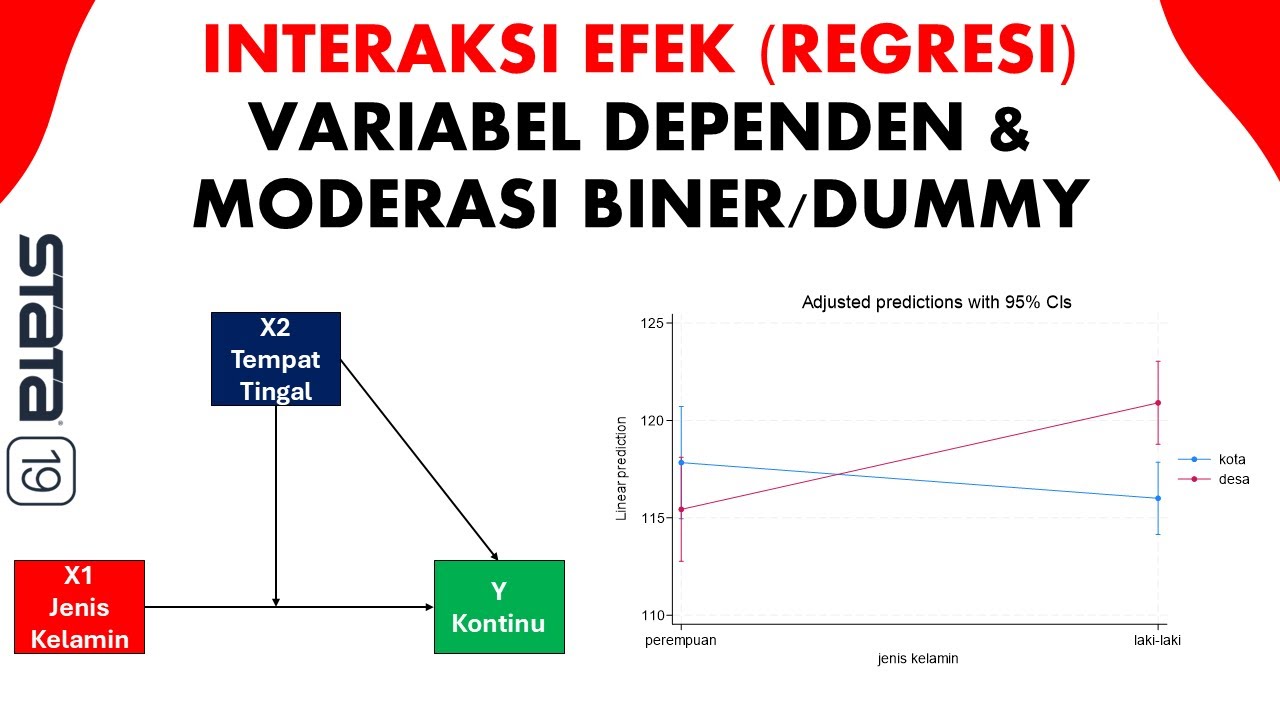 ANALISIS INTERAKSI EFEK (REGRESI) VARIABEL INDEPENDEN DAN MODERASI ...