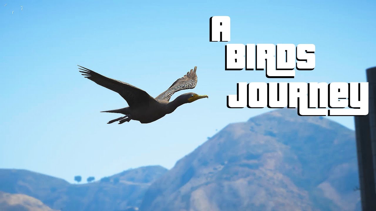 A Birds Journey - GTA 5 (Short Movie) - YouTube