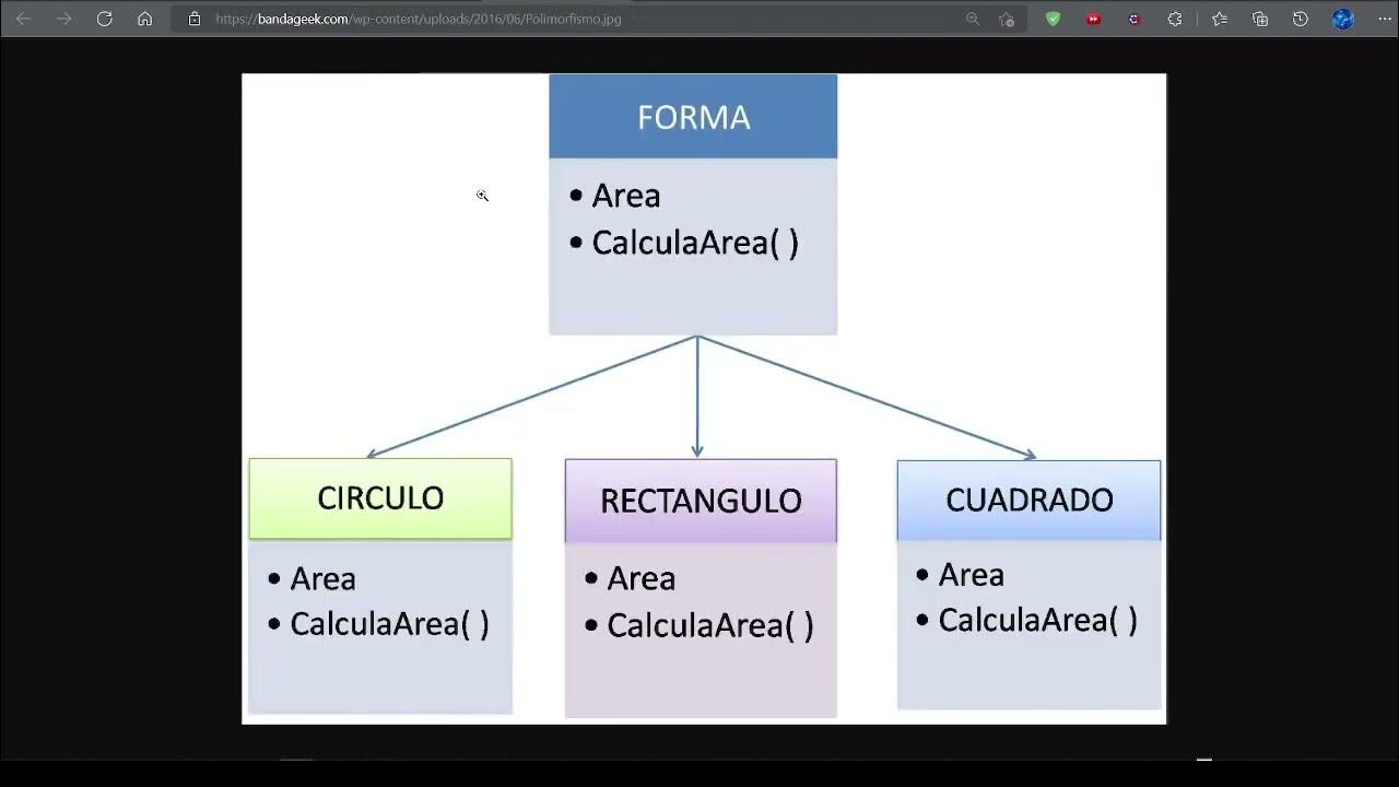 108. Concepto y Ejemplos de Polimorfismo | POO Java - YouTube