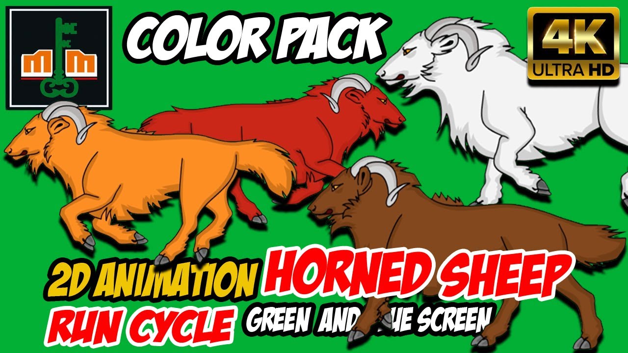 HORNED SHEEP RUN CYCLE 2D ANIMATION 4K COLOR PACK GREEN AND BLUE SCREEN ...