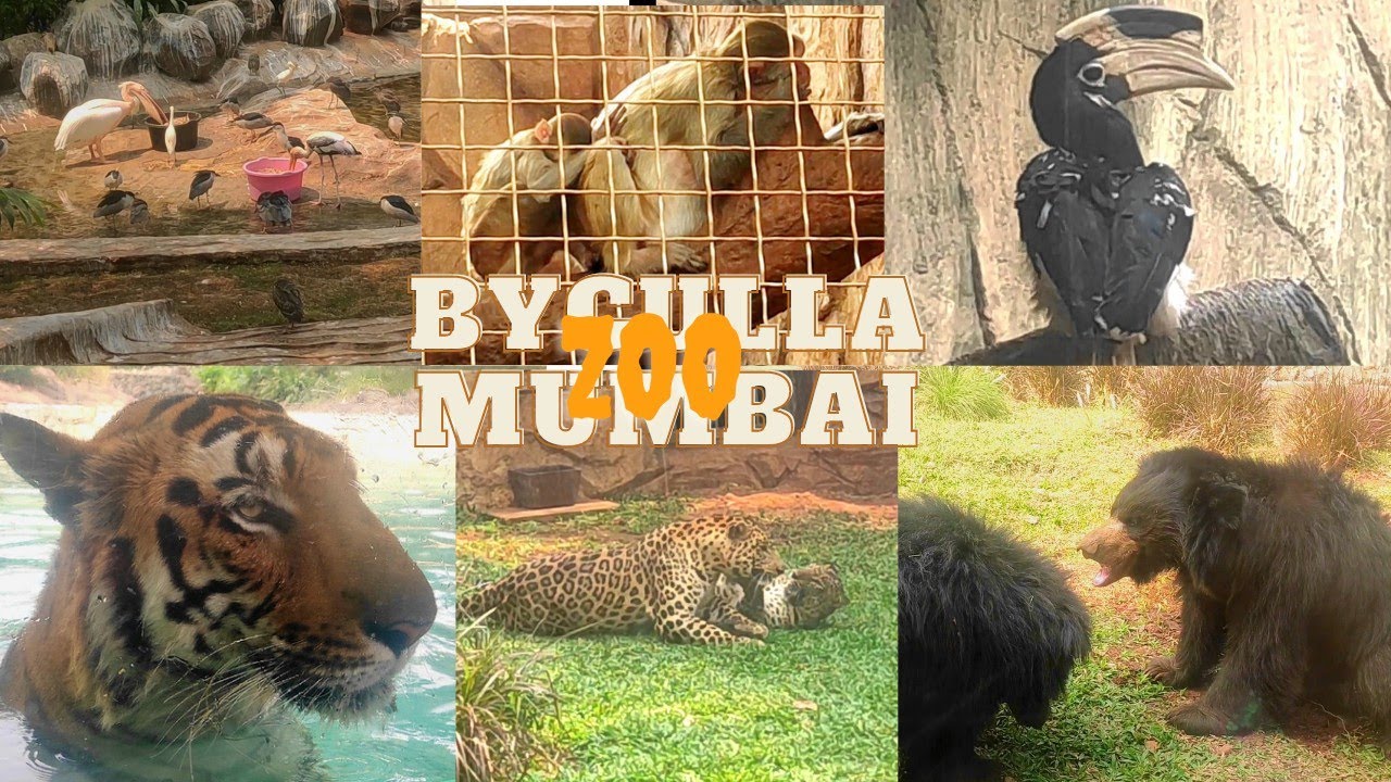 Mumbai Byculla Zoo 2023 | Rani Baug | Veer Jijamata Udyan | Best Place ...