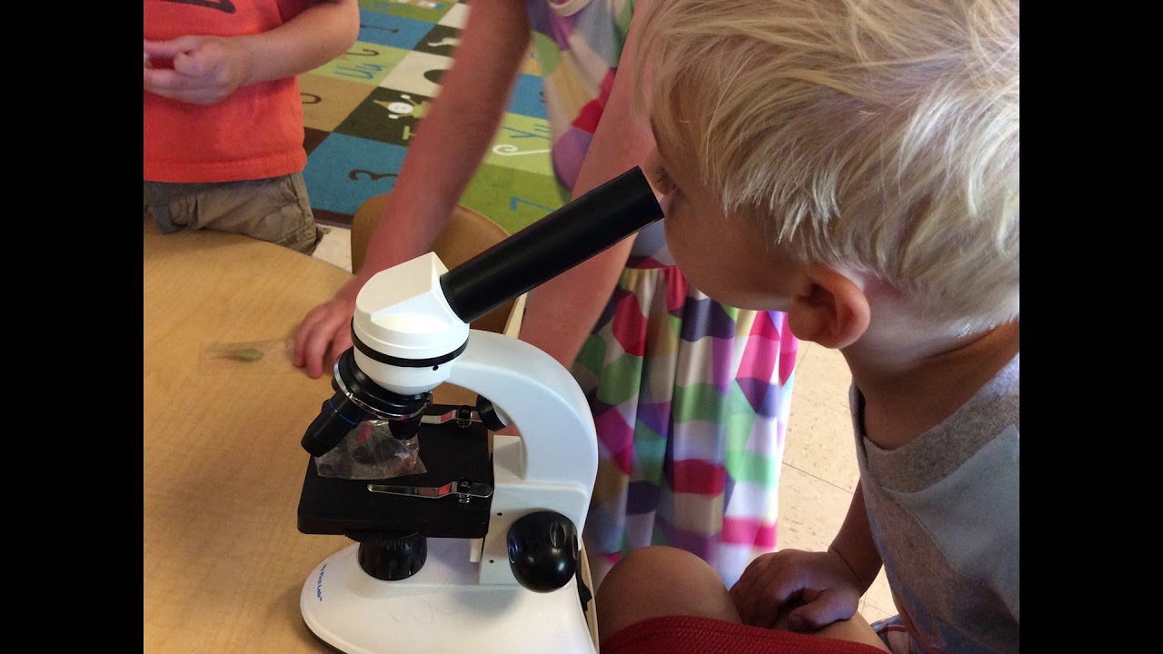 STEM Song - YouTube