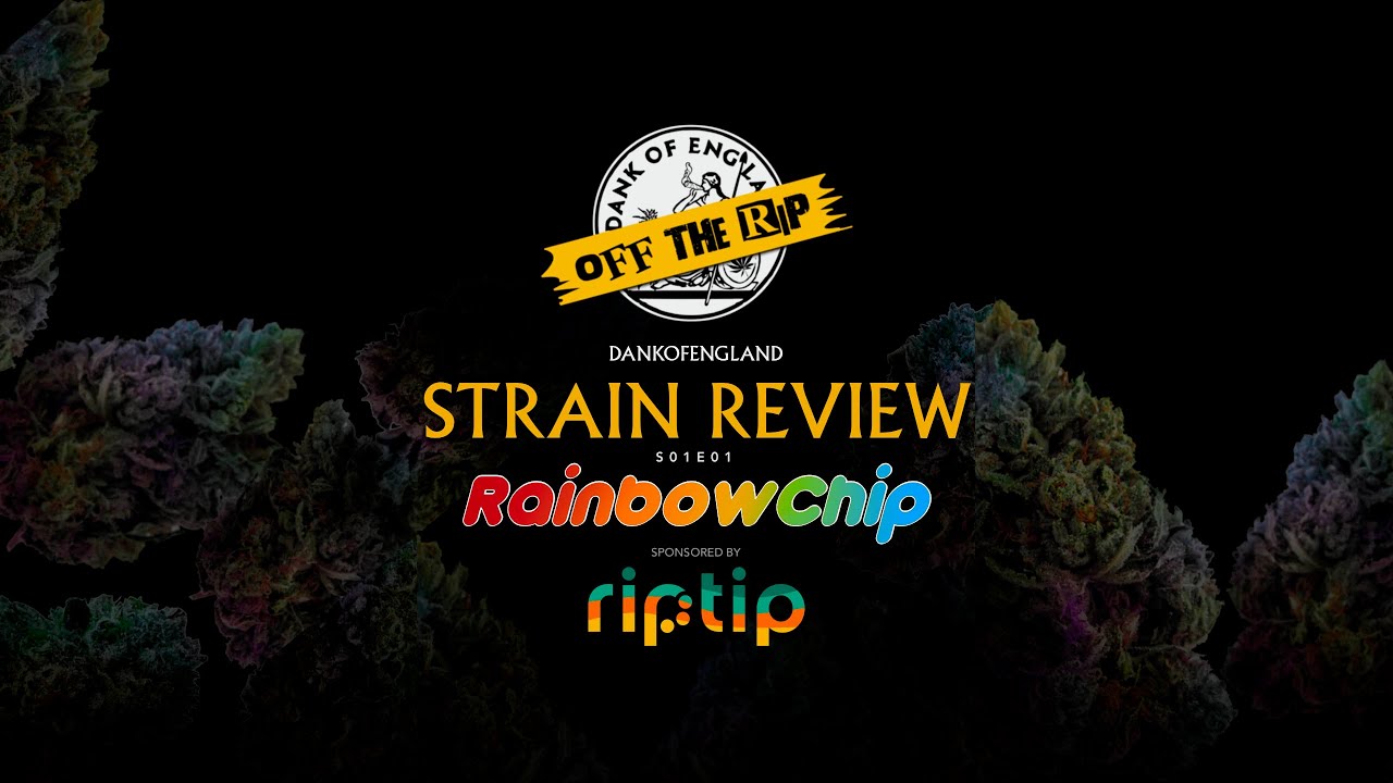 Rainbow Chip - S1EP1 'OFF THE RIP' Strain Reviews - YouTube