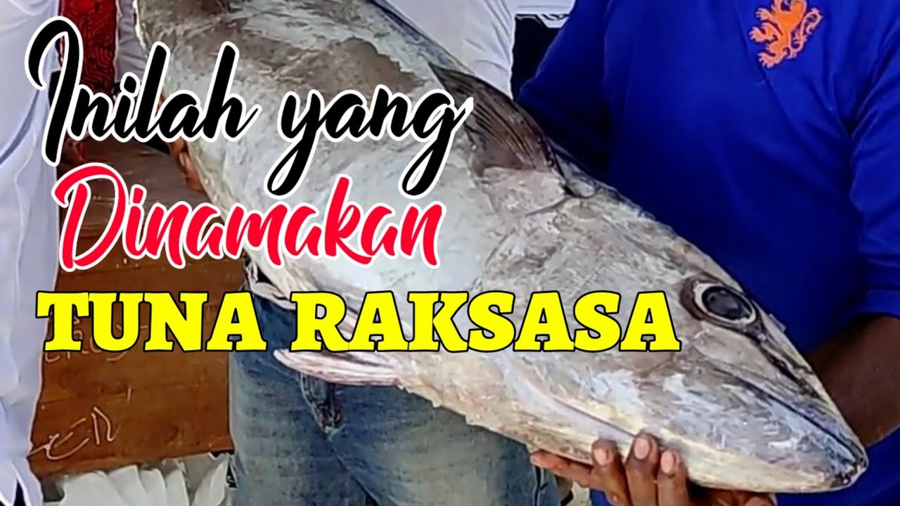 HASIL LOMBA MANCING 2021 - YouTube