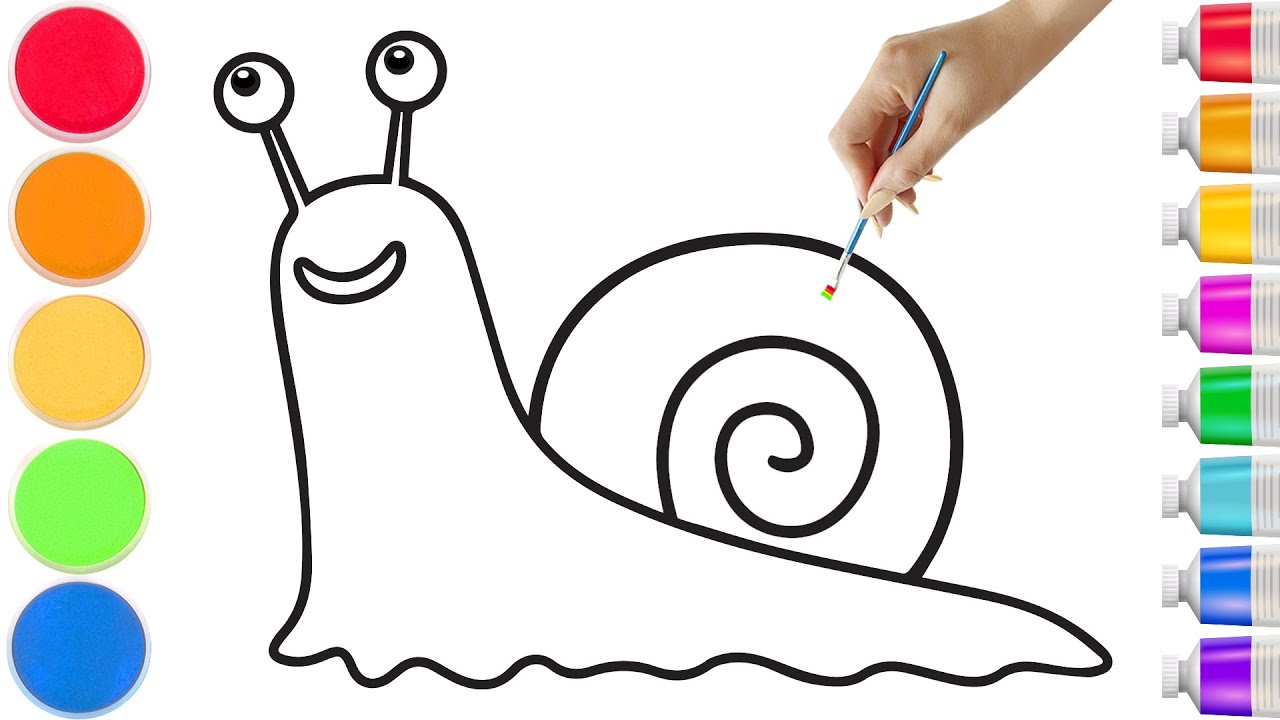 How to draw snail | step by step - YouTube