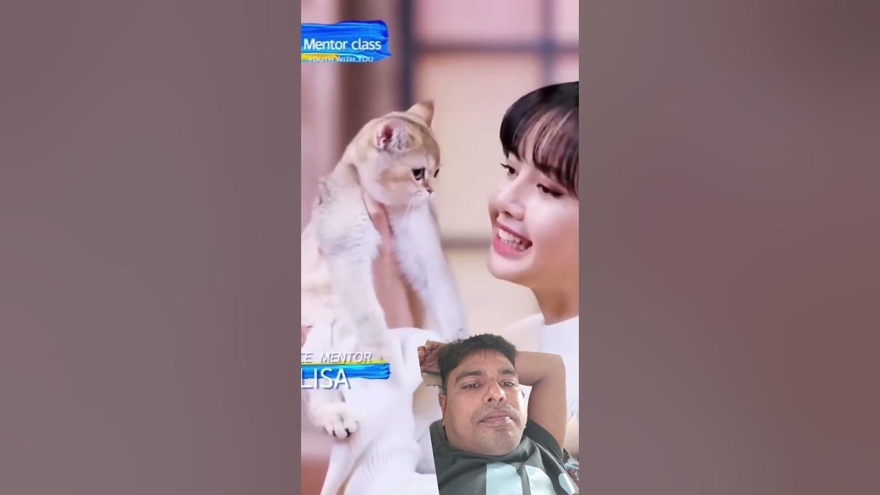 #blackpink #blink #lise #lissa #lisafunny #kpop #funny #lisa #lalisaloveme #cat - YouTube