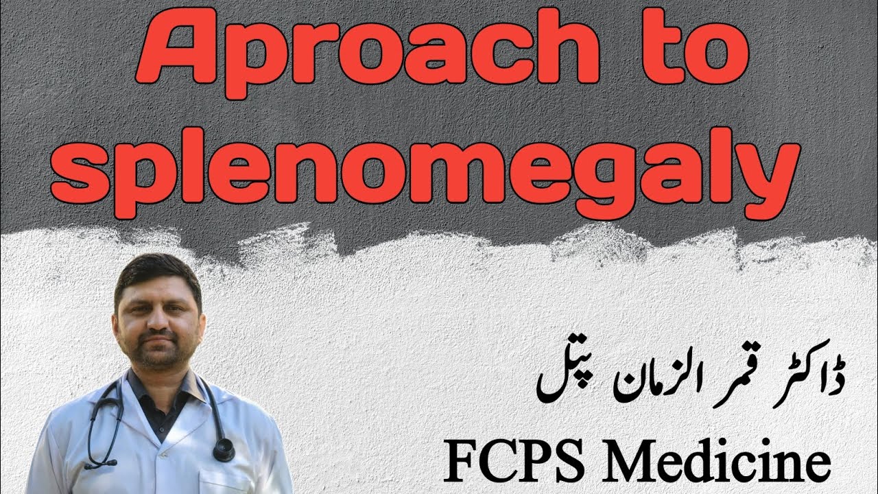 Easy aproach to splenomegaly - YouTube