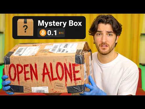 I Bought Mystery Boxes From All Over The Internet