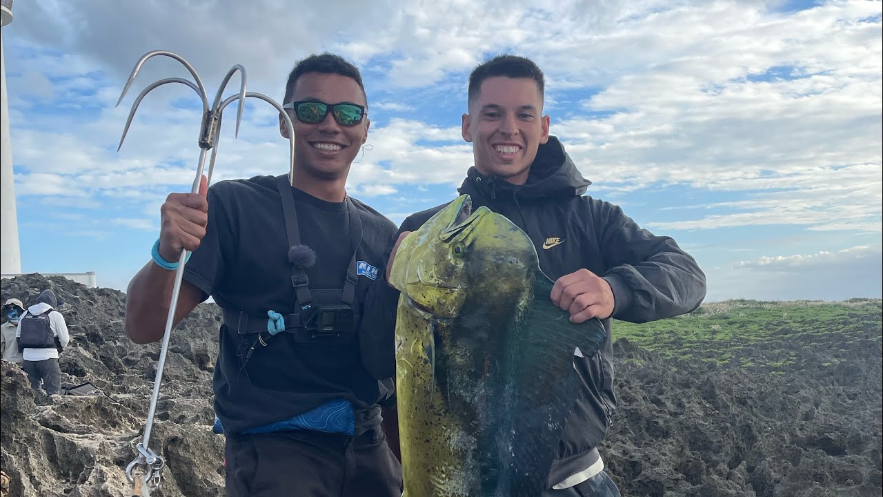 Nice Bull Mahi-mahi from shore - YouTube