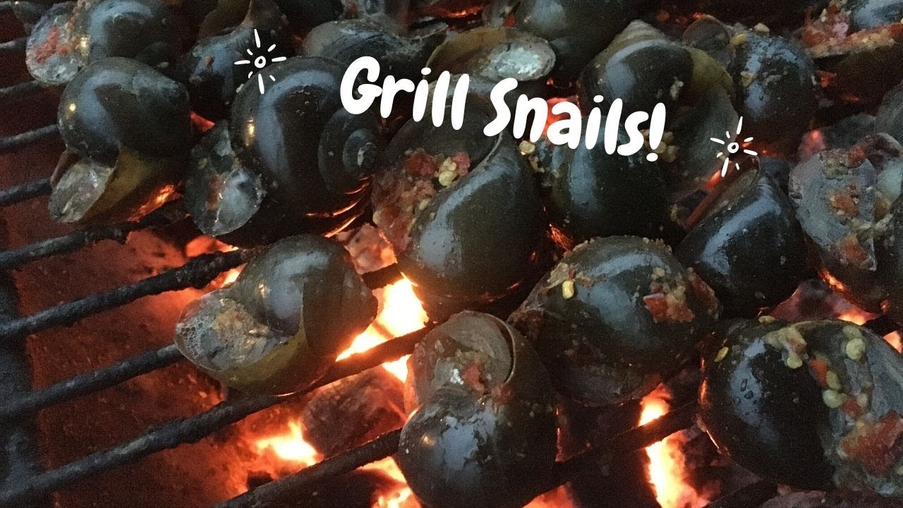 ខ្យងអាំង Grill Snail with Spicy Sauce - YouTube