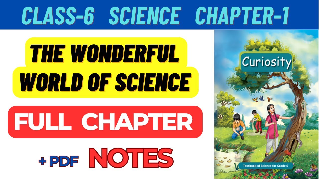 Class 6 Science Curiosity Chapter 1 The Wonderful World of Science Full ...