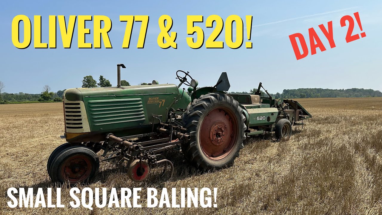 Day 2 Of Baling Straw! The Oliver 77 And The Oliver 520 Work On What's ...