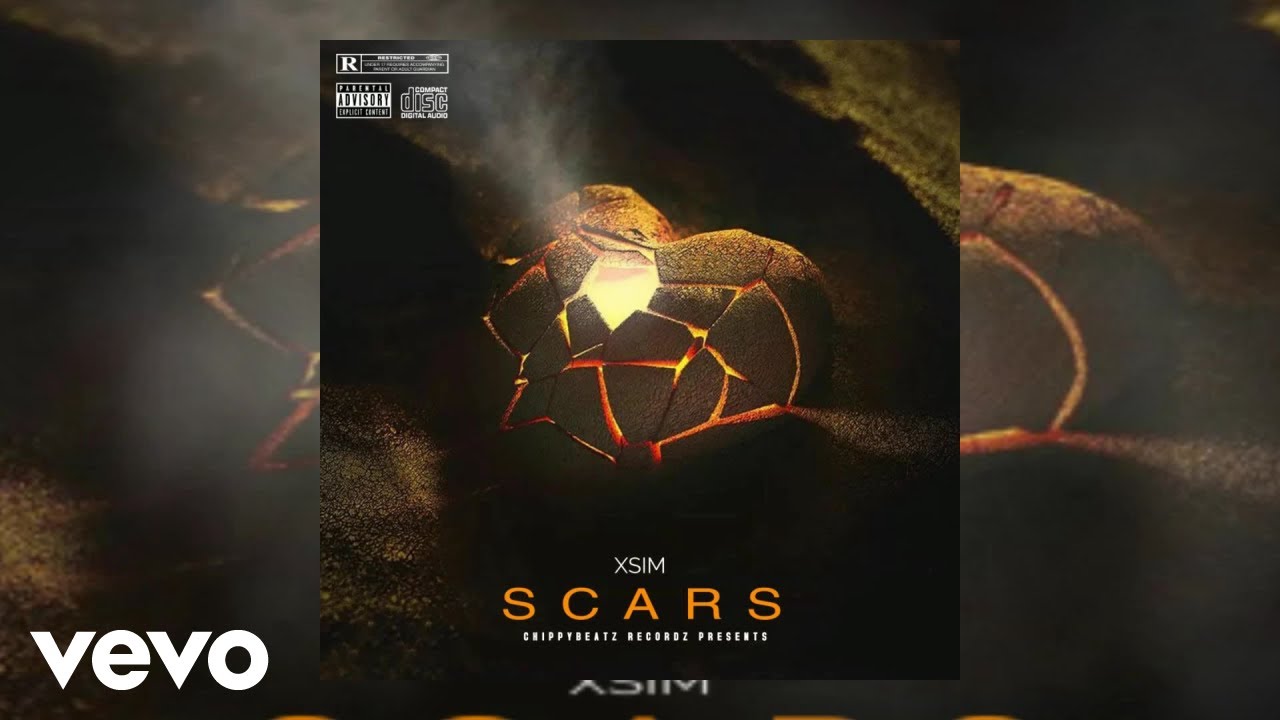 Xsim - Scars | Official Audio - YouTube