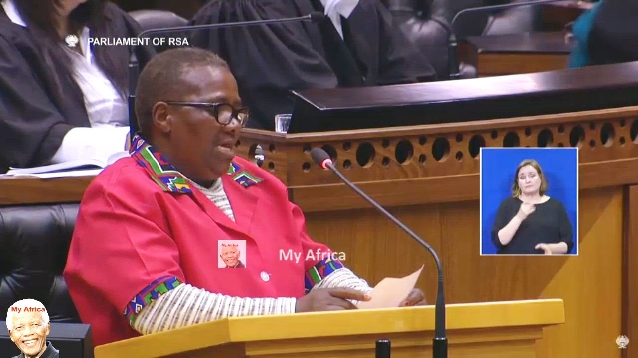 EFF Hon. Sonti At Her Best Speaking English In Parliament - YouTube