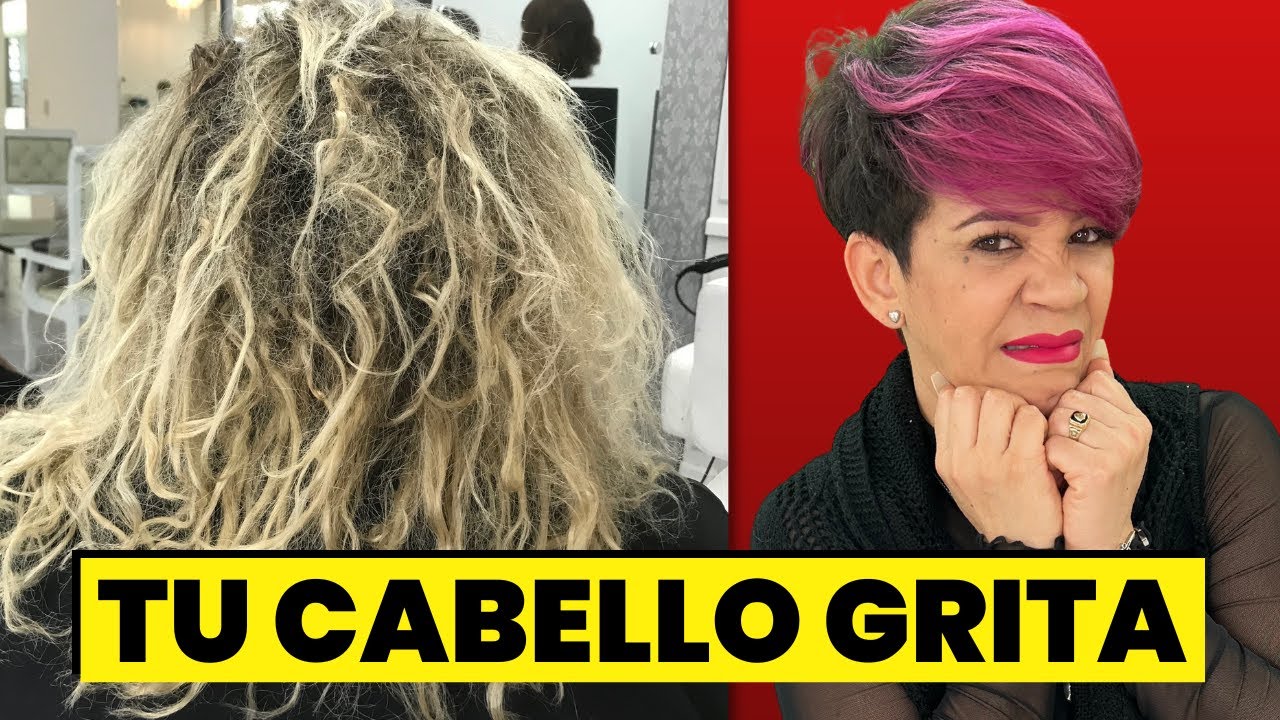 Cómo HIDRATAR y REPARAR el CABELLO Reseco y Maltratado - YouTube
