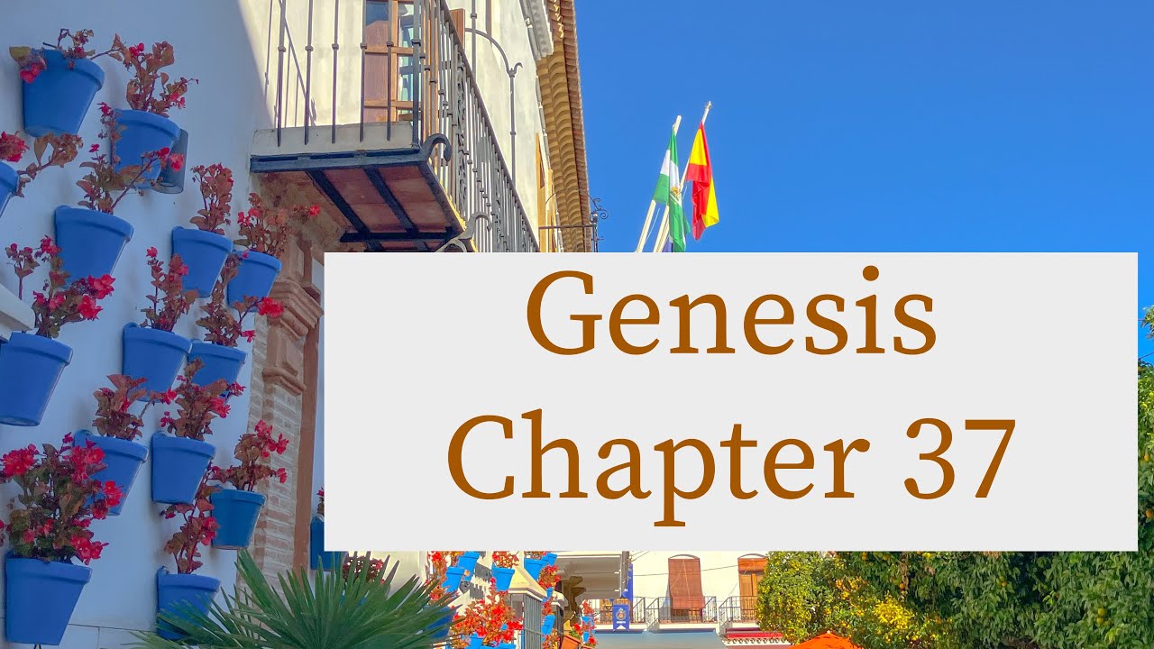 The Story of Joseph: From Favorite to Forgotten- Bible Study of Genesis ...