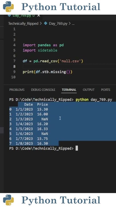 How to Instantly Spot Missing Data in Pandas | Python Tutorial - YouTube