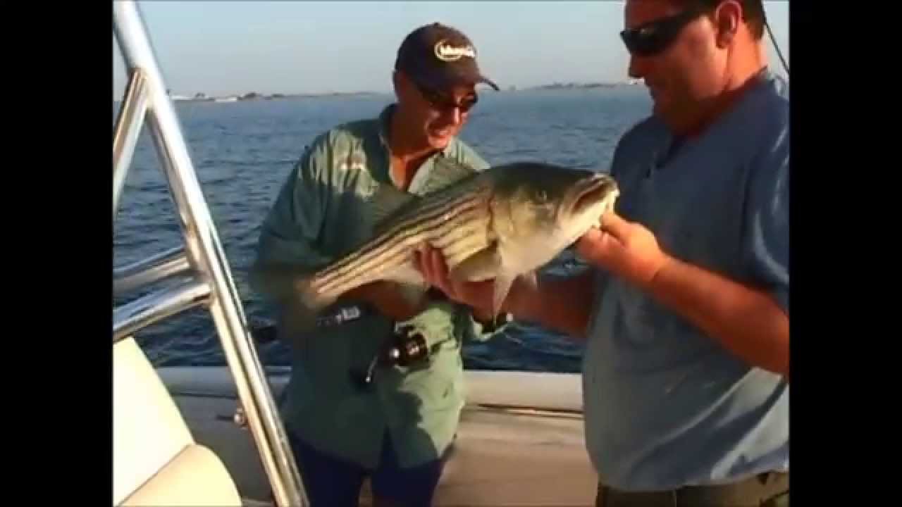 Striped Bass Fishing - Block Island, RI - Topwater Plugs - YouTube