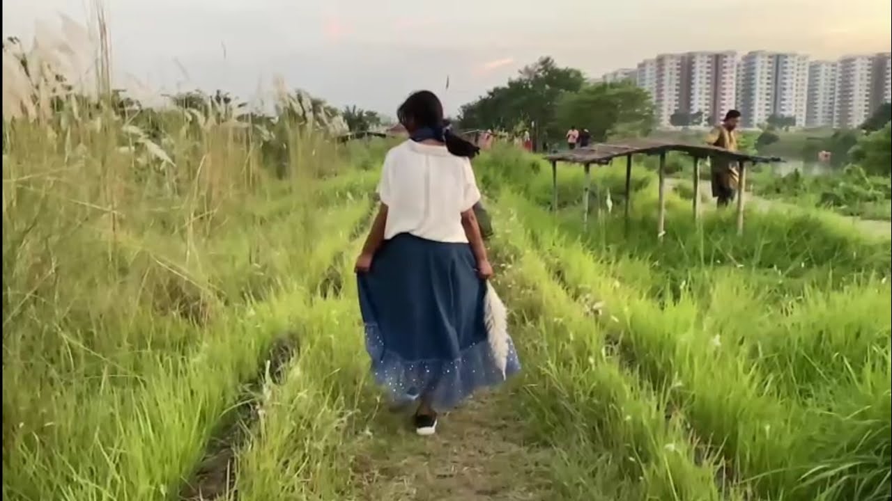 Uttara Diabari Dhaka/উওরা দিয়াবাড়ি /শরতের কাশফুলে ঘেরা অপরূপ সৌন্দর্য ...