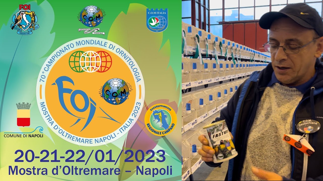 Die optimale Versorgung von Vögeln während einer Ausstellung ...