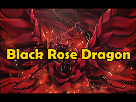 Black Rose Dragon FaDe - YouTube