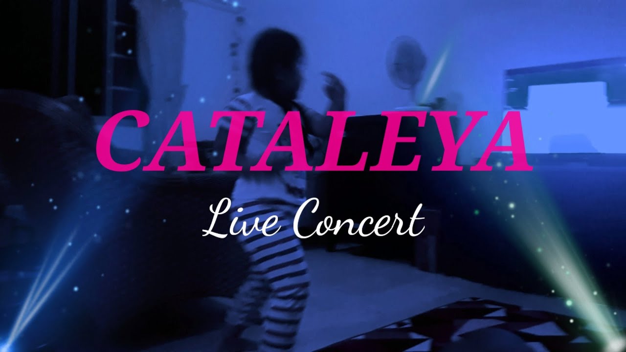 CATALEYA LIVE CONCERT - YouTube