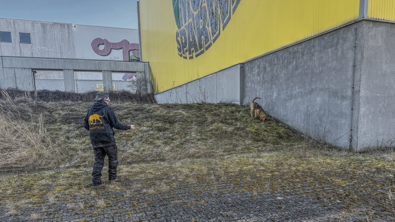 #mantrailing - Back to track - YouTube