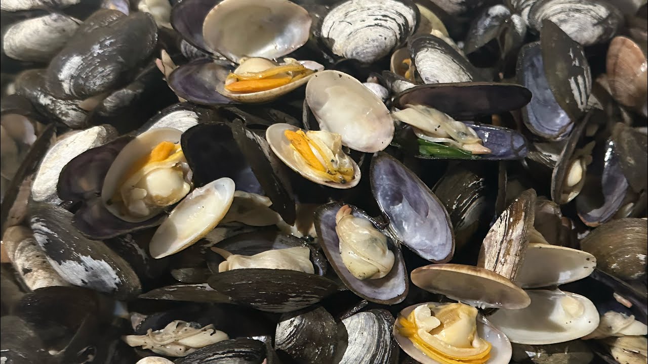 Punaw og Dulasay - YouTube