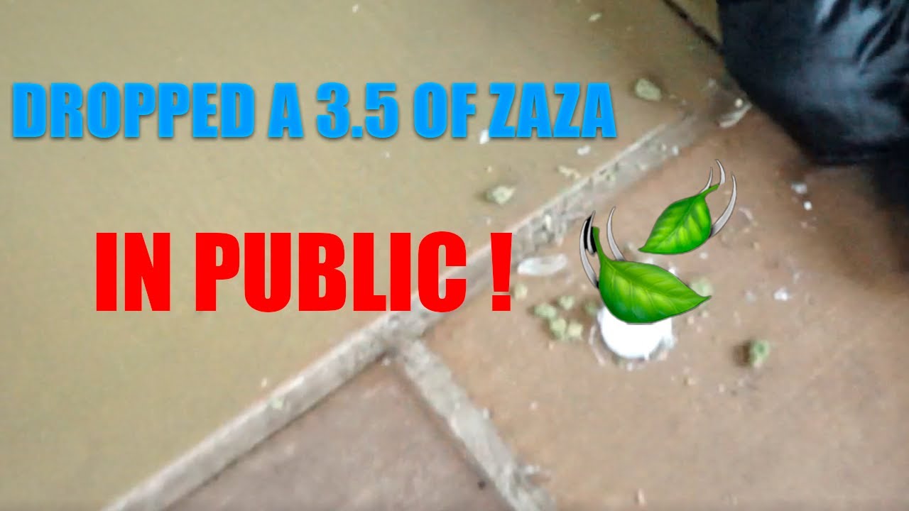 I DROPPED A 3.5 OF ZAZA IN PUBLIC!!! (OREGON ROAD TRIP FUNNY MOMENTS ...