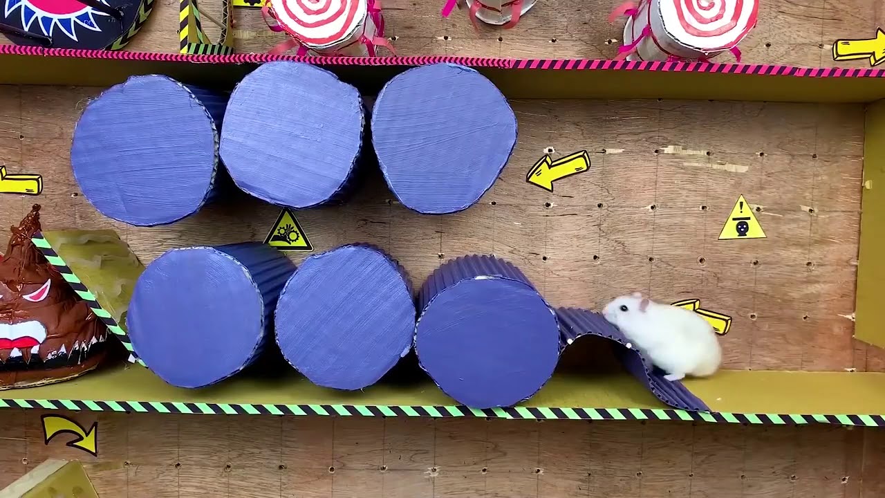 🐹😱 Monster Hamster Escape Traps 😱OBSTACLE COURSE😱 - YouTube