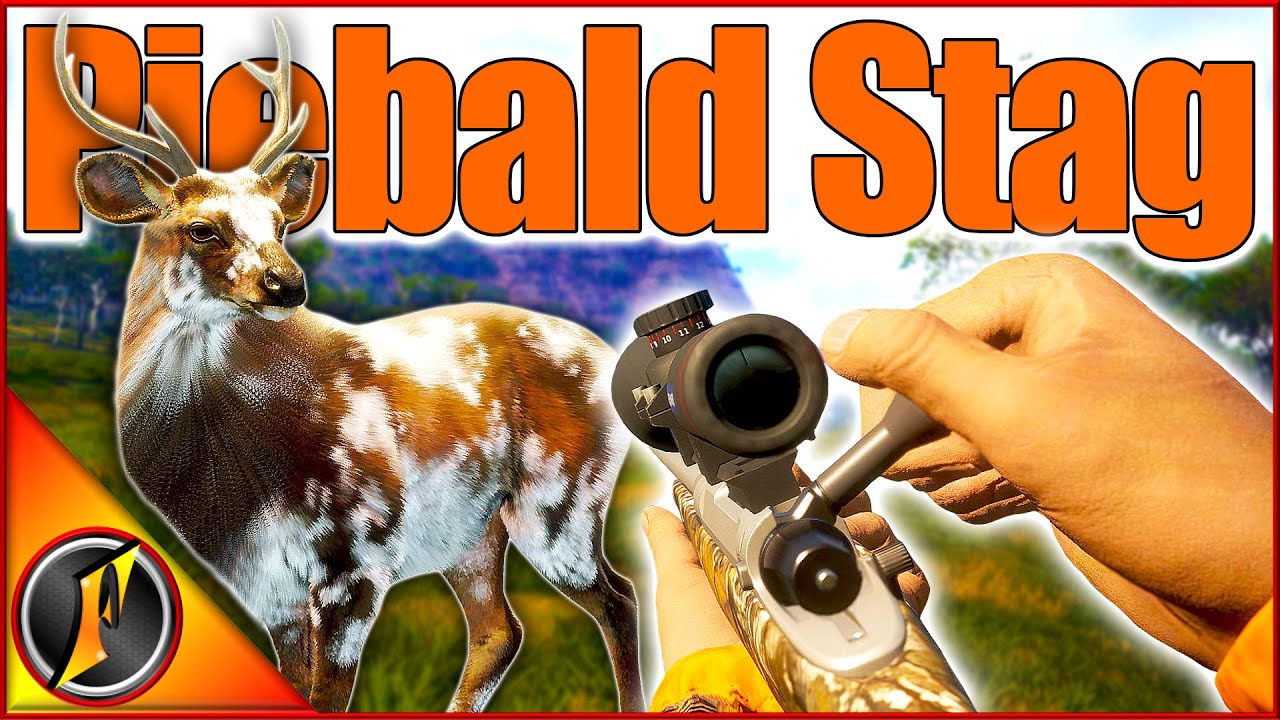 Casual Hunt on Emerald Coast Brings a PIEBALD Sambar Stag! | theHunter ...
