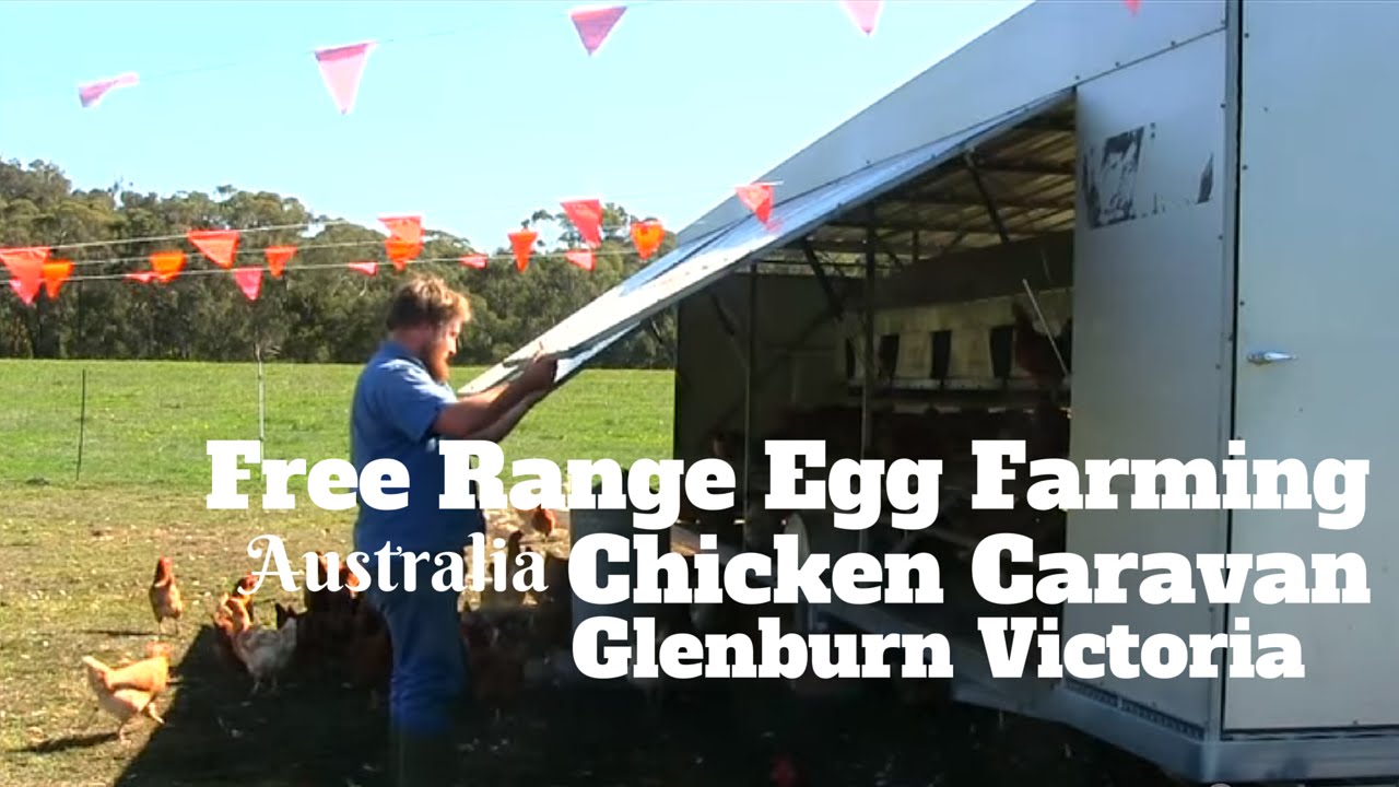 Free range Egg farming Australia. Chicken Caravan Glenburn Victoria ...