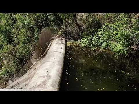 St. Croix, U.S.V.I. ; Viewer requested video Creque Dam revisited Feb ...