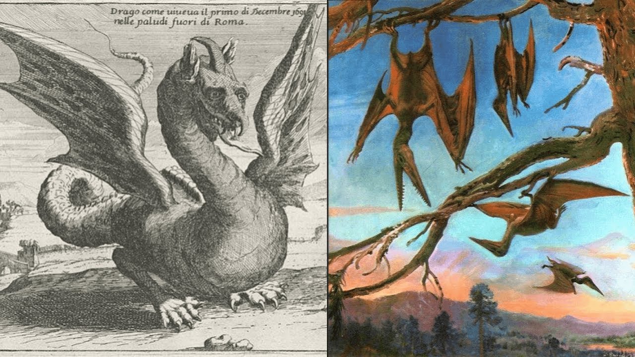 Were Dragons Actually Living Dinosaurs? - YouTube
