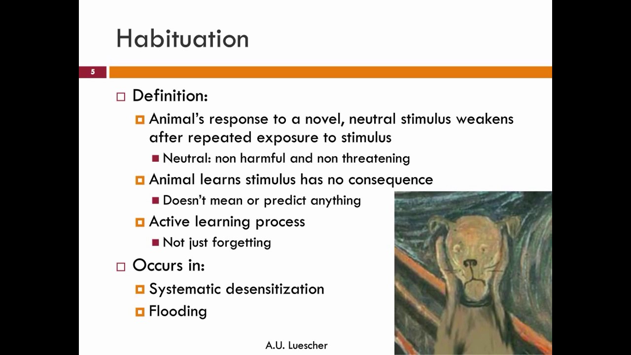 What Does Habituation Mean In Dogs