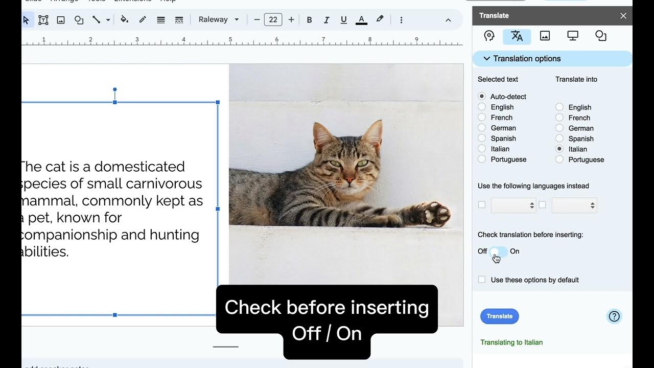 How to use Translate Slides in Y Tools add on for Google Slides, Docs & Sheets. - YouTube