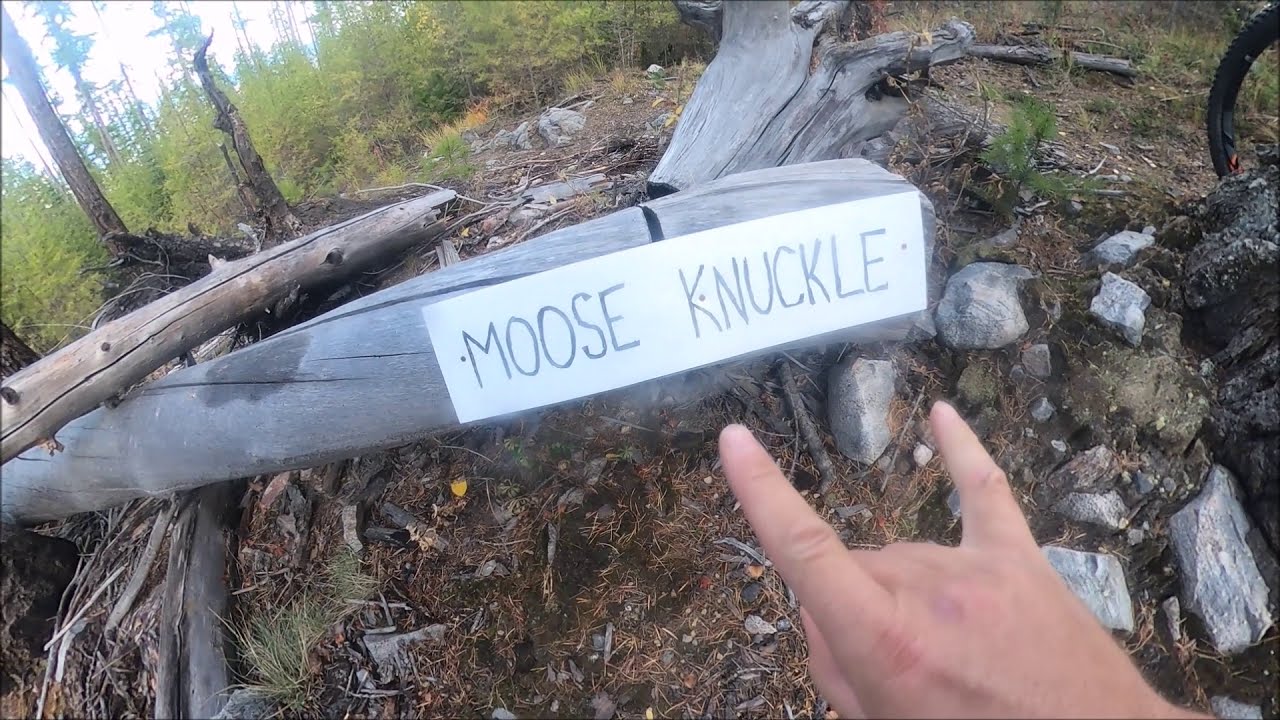 Moose Knuckle Mountain Bike Trail - YouTube