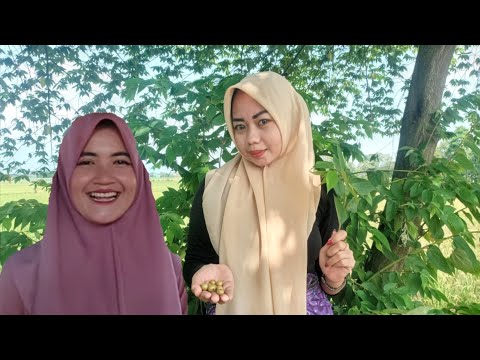 BIKIN BAPER SEMUA ORANG MELIHAT KECANTIKAN NENG YATI JANDA DESA   ASAL TANAH SUNDA