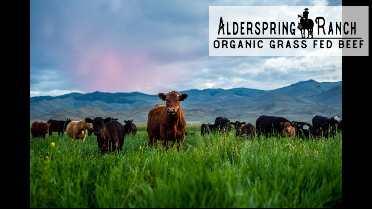 Alderspring Ranch Slideshow | Idaho, USA - YouTube