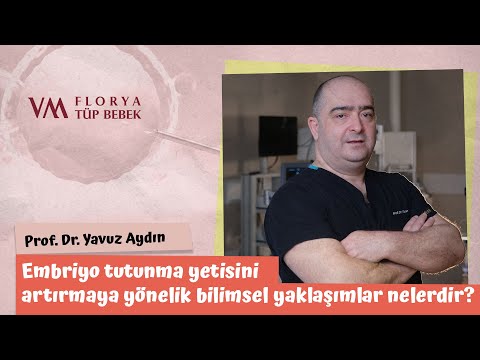 Embriyo Tutunma Yetisini Artırmaya Yönelik Bilimsel Yaklaşımlar Nelerdir?
